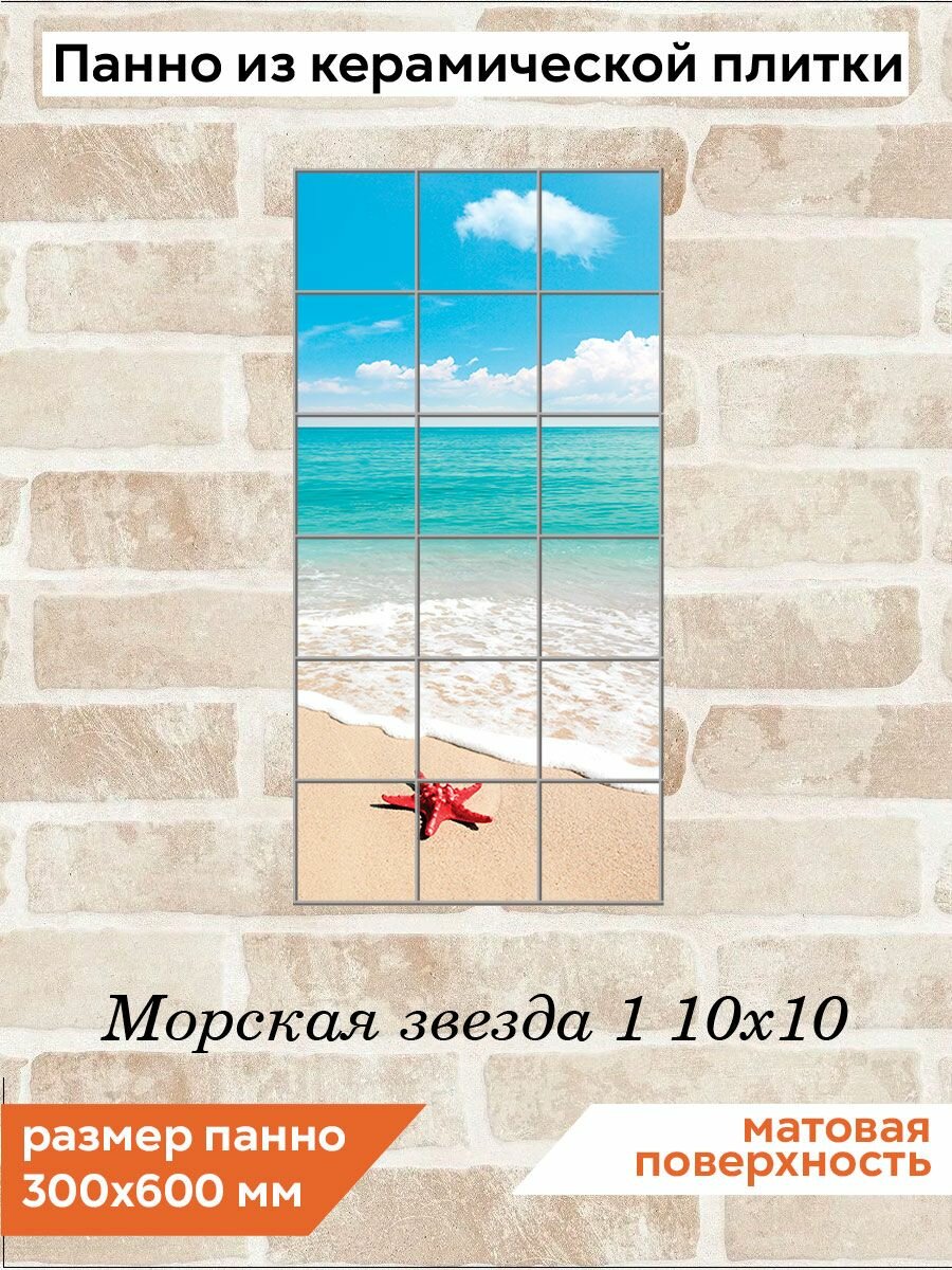 Панно из керамической плитки Fres-co "Морская звезда 1 10х10" керамическое, декоративное, матовое