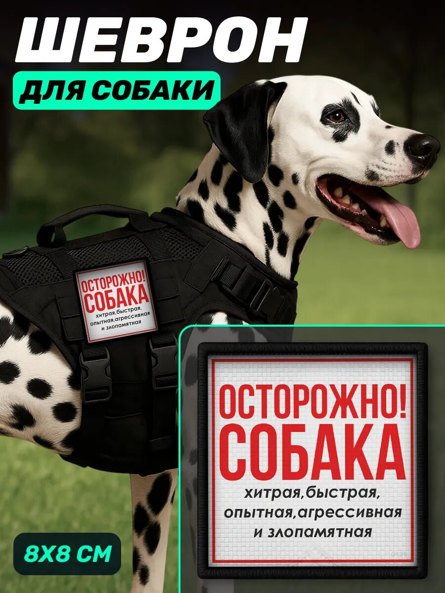 Шеврон на шлейку для собак Осторожно Собака