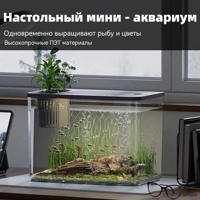 12 л Мини - настольный ландшафтный аквариум, прозрачное высокое разрешение, экологическая панорама