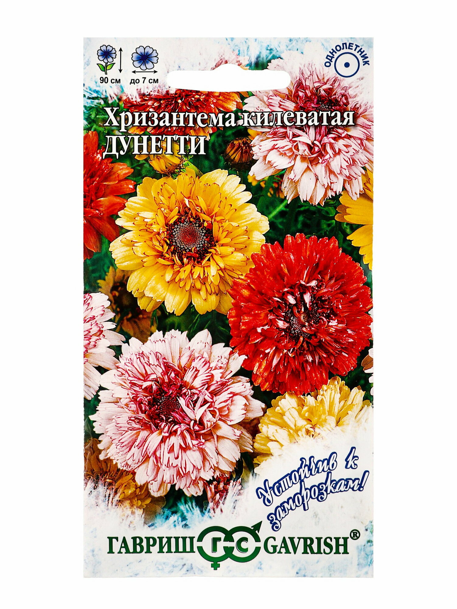 Семена цветов Хризантема килеватая "Дунетти" махровая, 0.5 г, 3 шт.