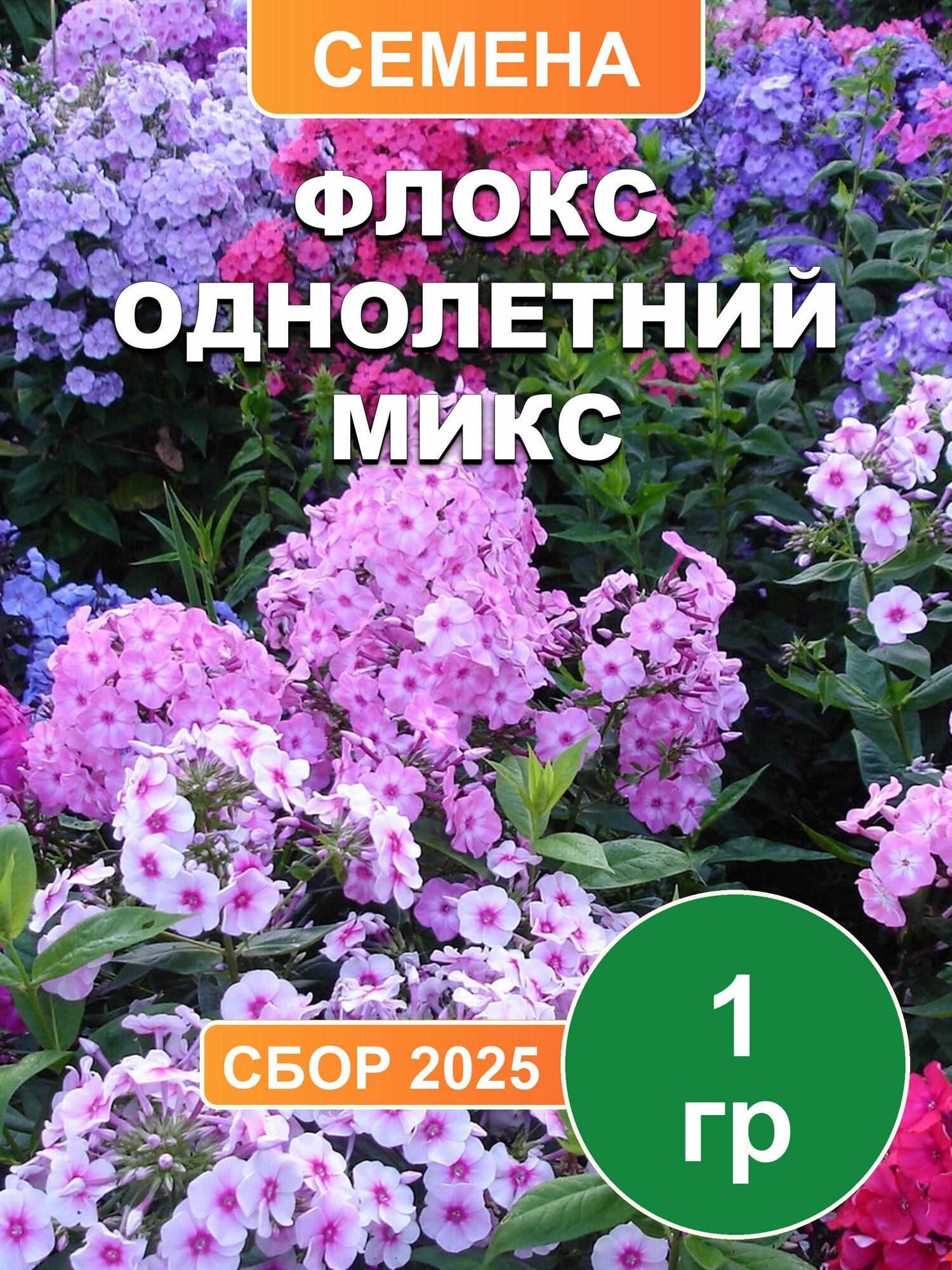 Флокс однолетний, семена, 1гр