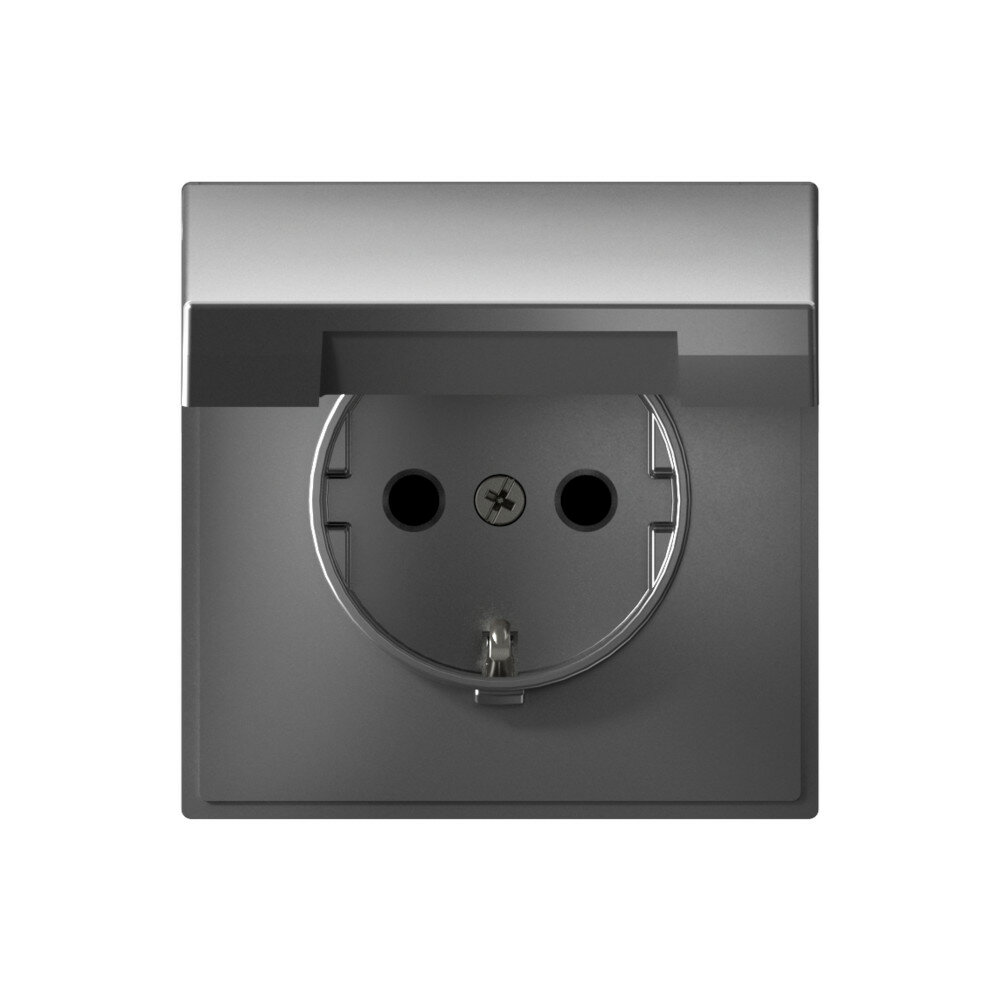 Розетка с заземлением Systeme Electric ArtGallery, с защитными шторками, на винтах, с крышкой, ip20, сталь