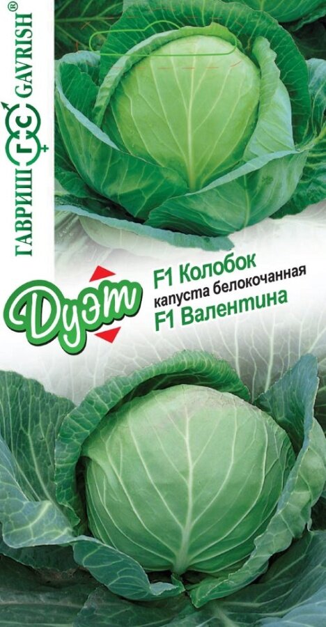 Набор Семена Капуста б/к Валентина F1 0,05г + Колобок F1 0,05г (Гавриш)