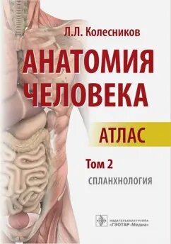 Атлас гэотар-медиа Анатомия человека. В 3 томах. Том 2. Спланхнология. Колесников Л. Л, 2023 год