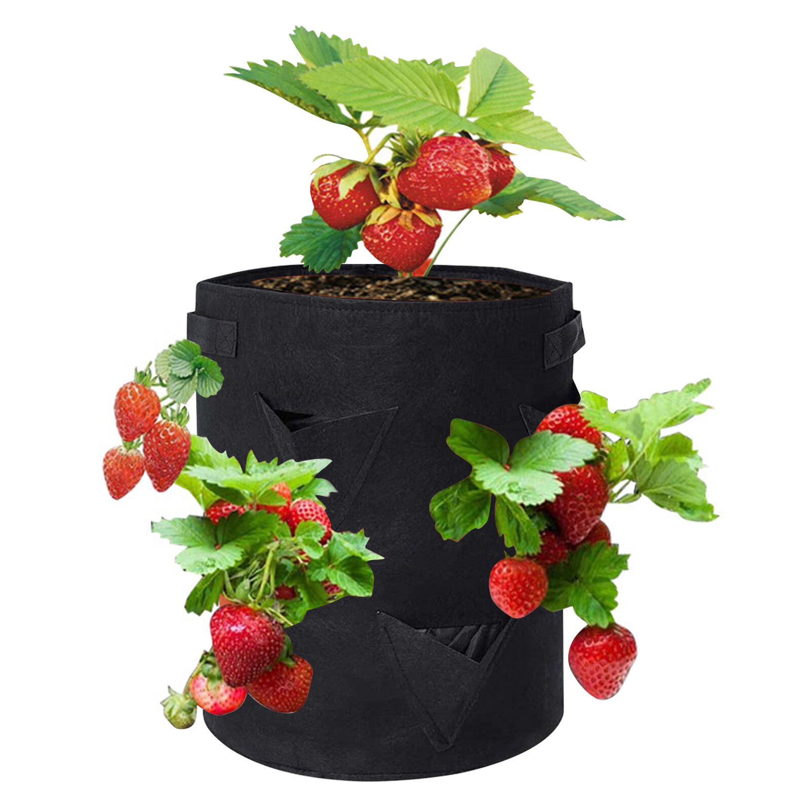 Мешки для выращивания клубники на 10 галлонов и сеялка на 8 мешков для выращивания клубники