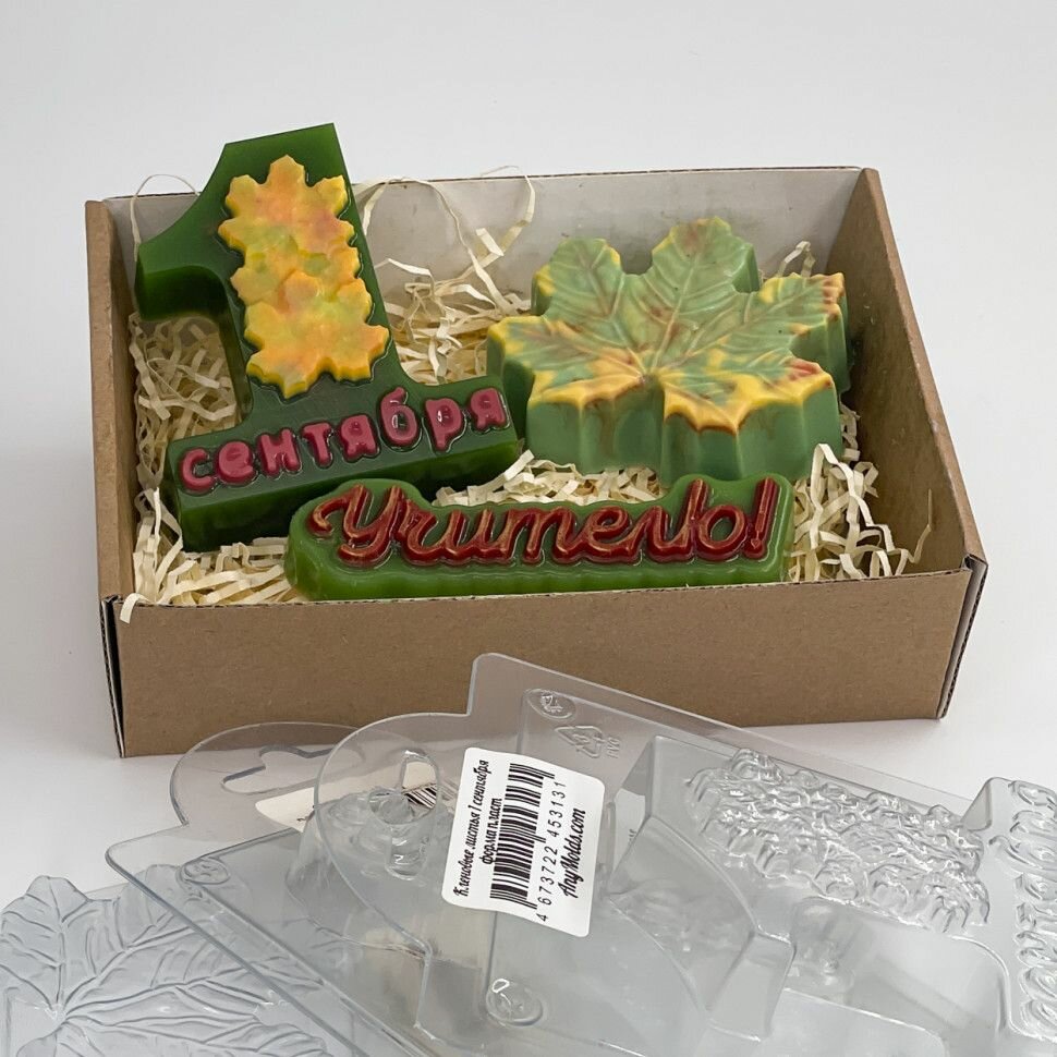 Набор форм AnyMolds "1 сентября", для мыла и шоколада, пластик, прозрачный