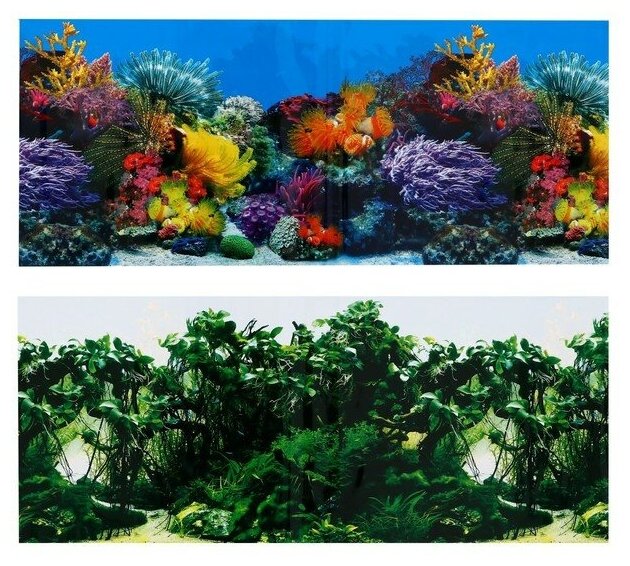 Фон для аквариума Сима-Ленд "Ландшафт", двусторонний, 50x115см, 1 шт