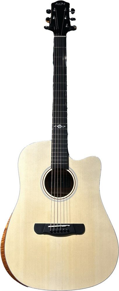 Aion Q20M акустическая гитара