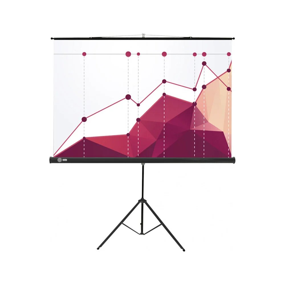 Напольный рулонный экран CACTUS см Triscreen CS-PST-180x180 1:1 черный 180x180, для напольной установки