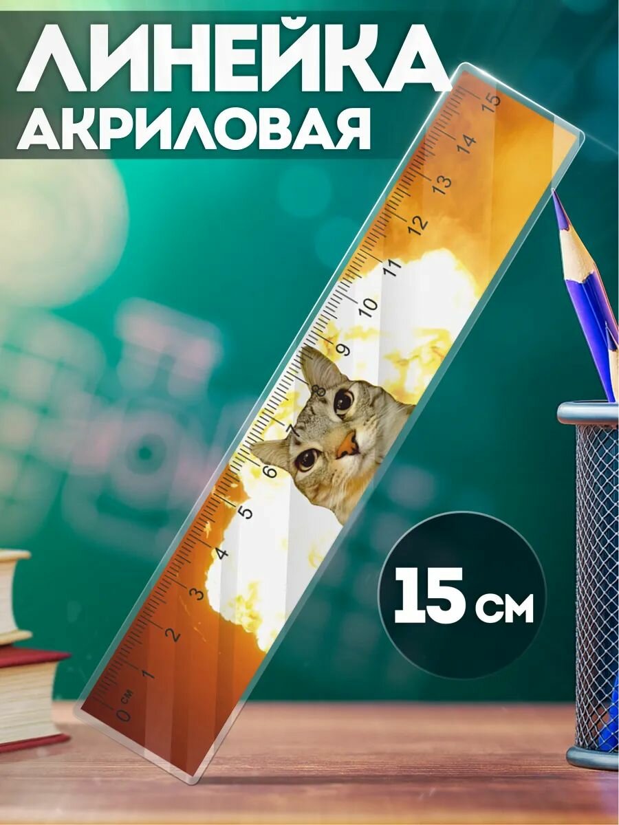 Канцелярия для школы линейка 15 см мем кот взрыв