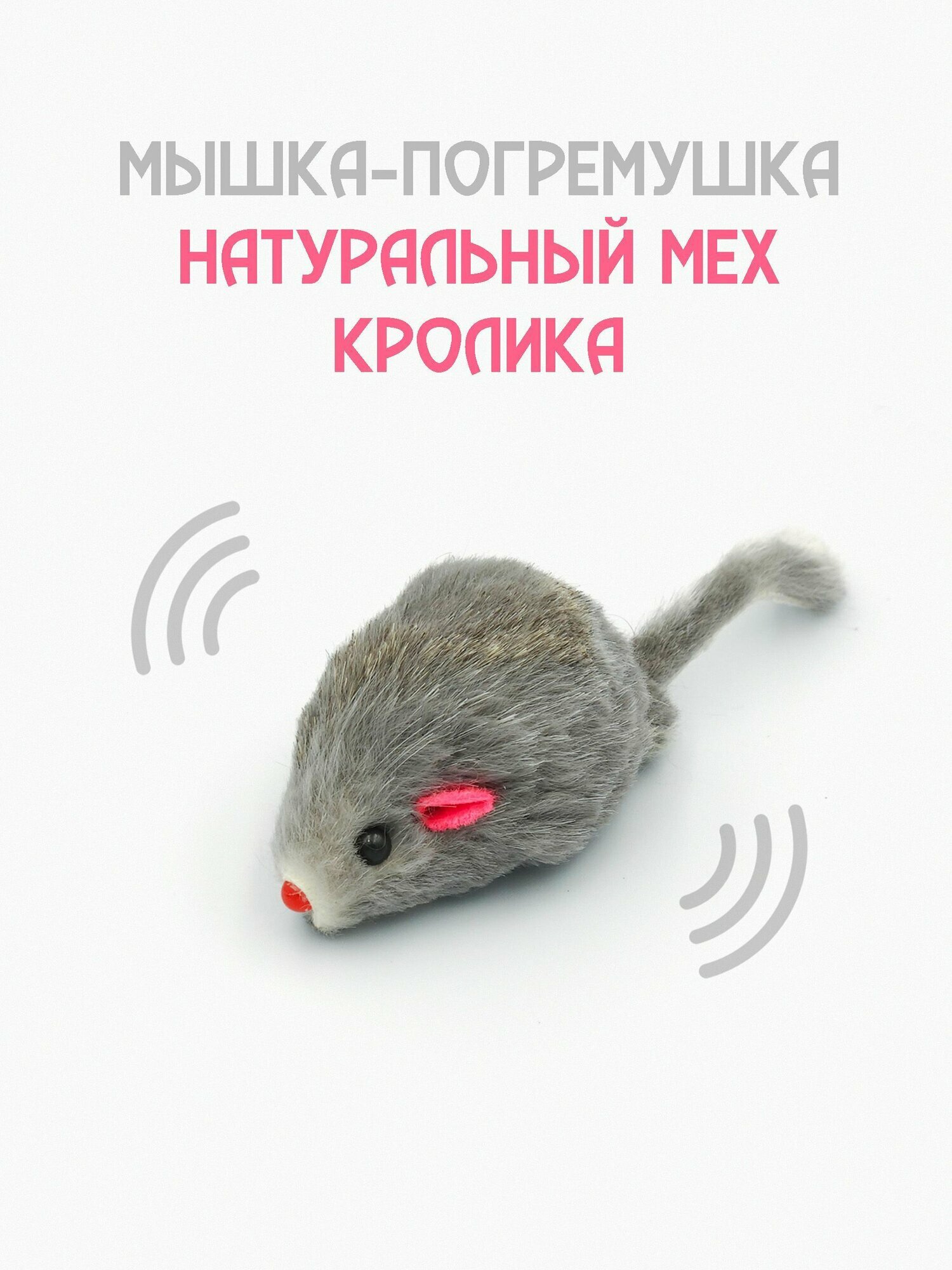 Pet Toy Interactive