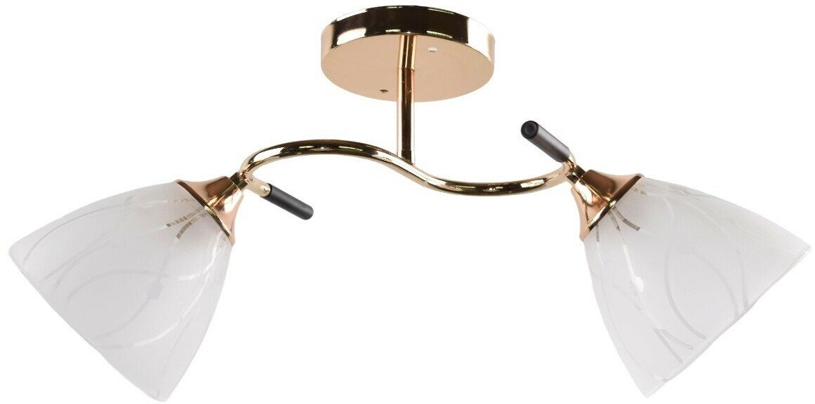 Люстра классическая 12238/2FGD+BK WT ЭкономСвет