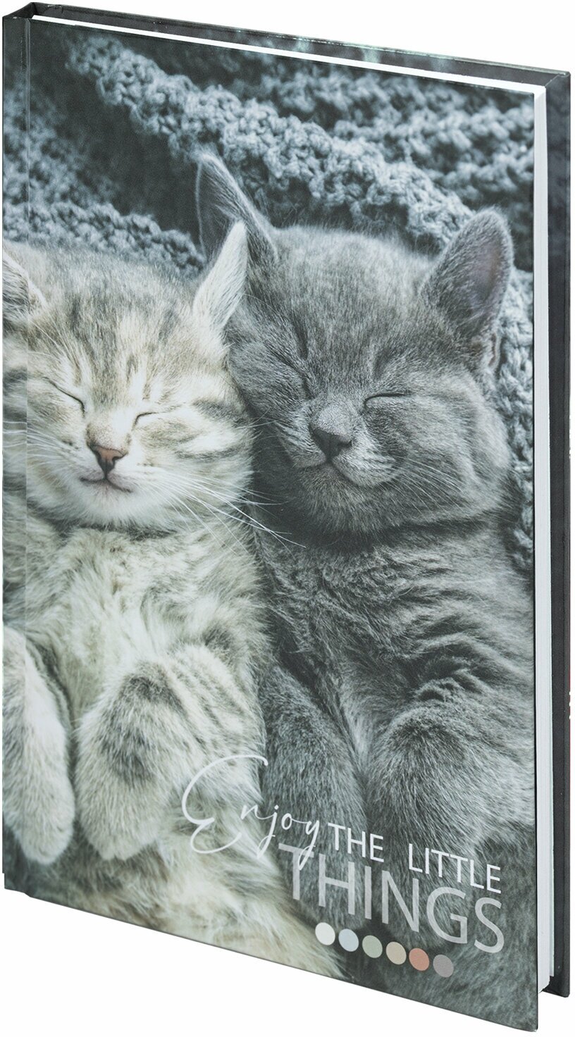 Блокнот А5 (134х206 мм), 80 л, твёрдый, клетка, STAFF, "Котики", 114413