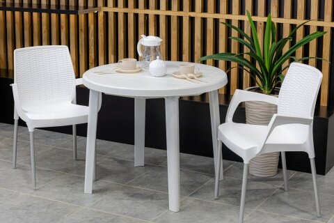 Комплект из 2 штук кресла "Прованс" белый