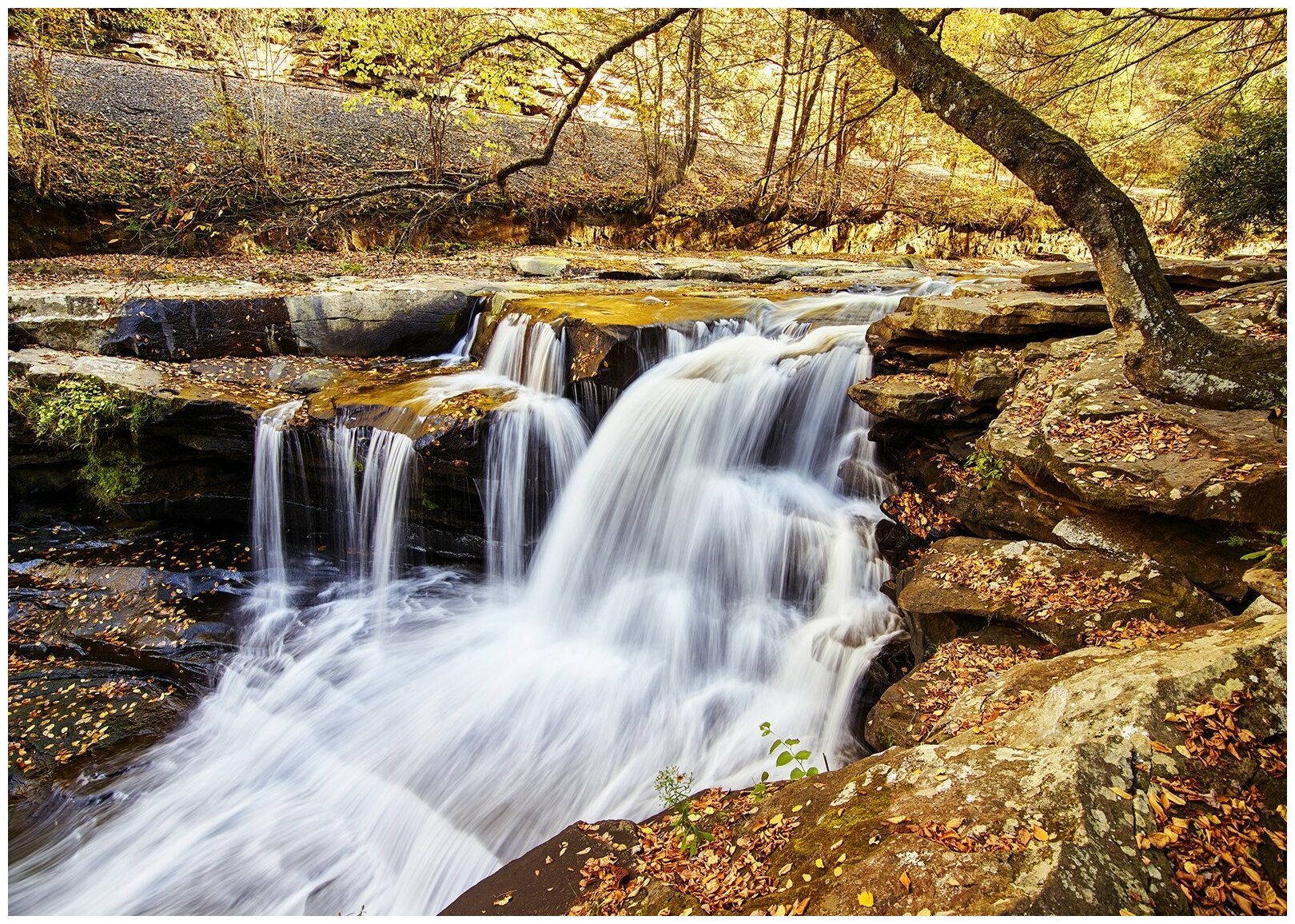 Постер / Плакат / Картина Водопад Данлоуп 40х50 см в подарочном тубусе