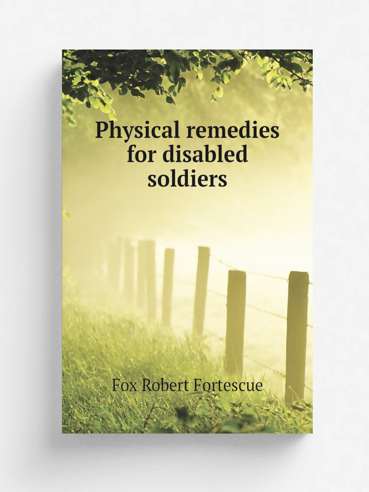 Physical remedies for disabled soldiers | Fox Robert Fortescue | Репринт