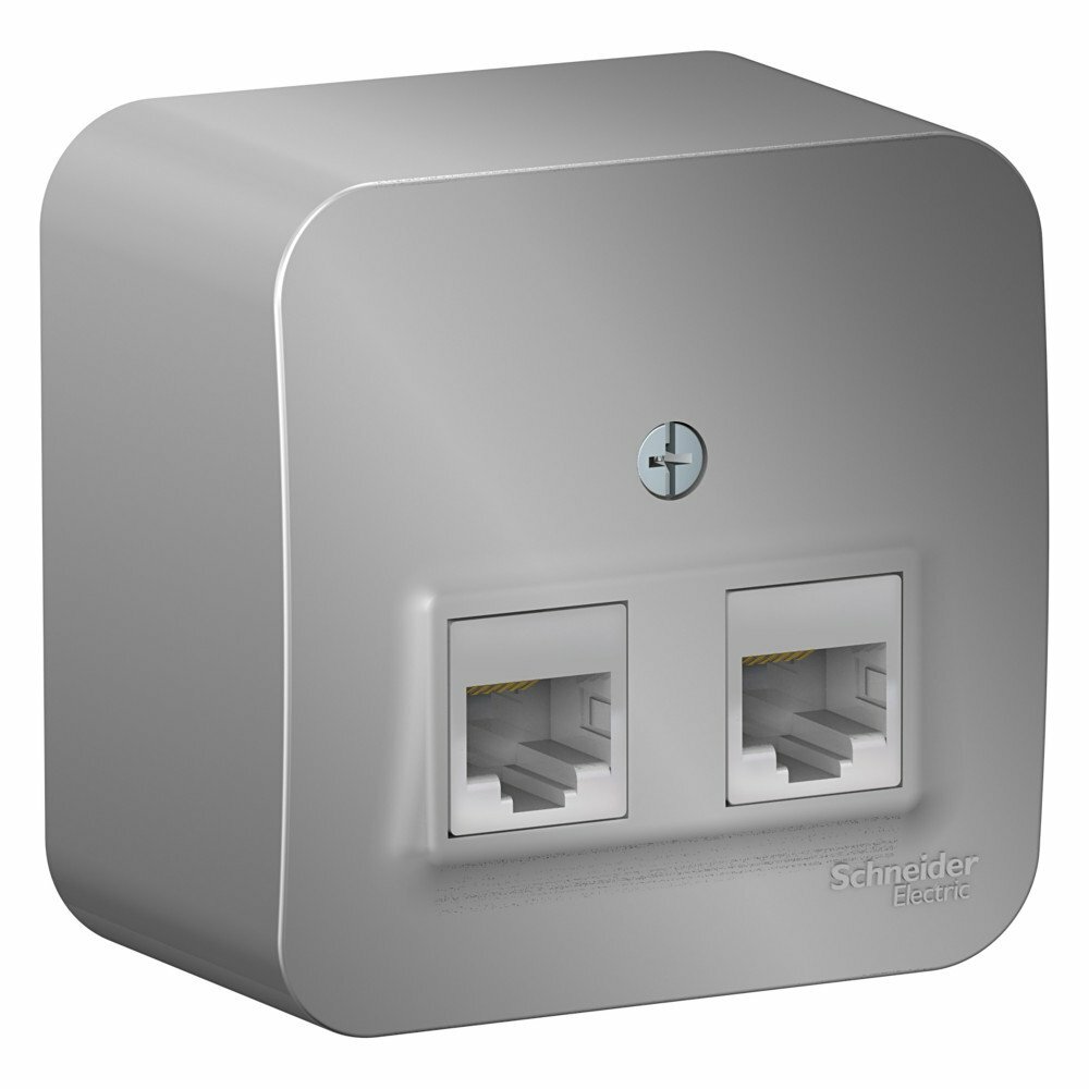 Blanca наруж Алюминий Розетка 2-ая компьютерная RJ45, кат.5E, изолир. пластина, Systeme Electric, BLNIA045453