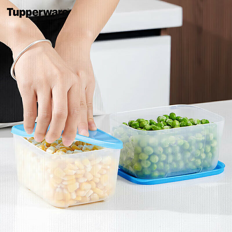 Tupperware Refrigerator Freezer Food Storage Containers, 700ml*2 Set, Quick-Freeze Meat, Food-Grade Square Storage Boxes, Gift-Giving