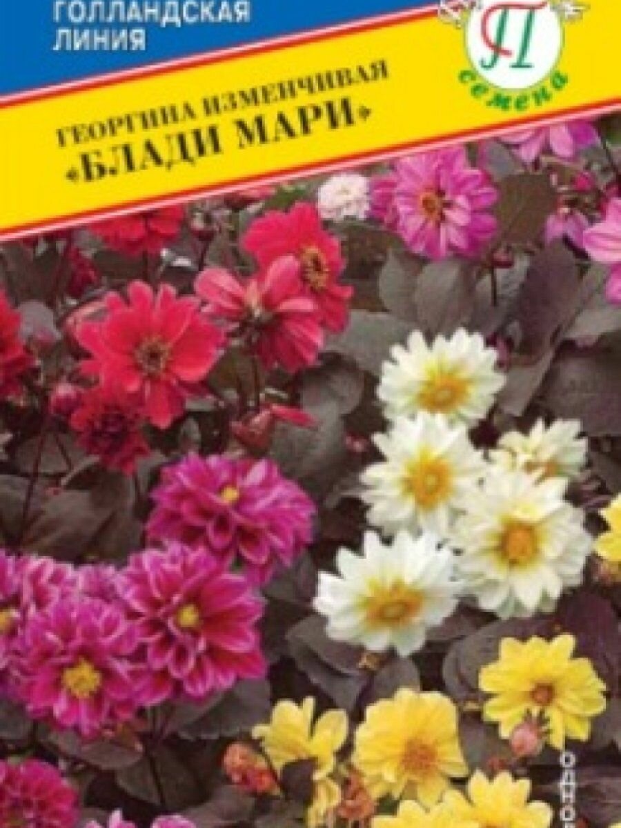 Георгина Блади Мари изменчивая 20 шт, Семена Престиж