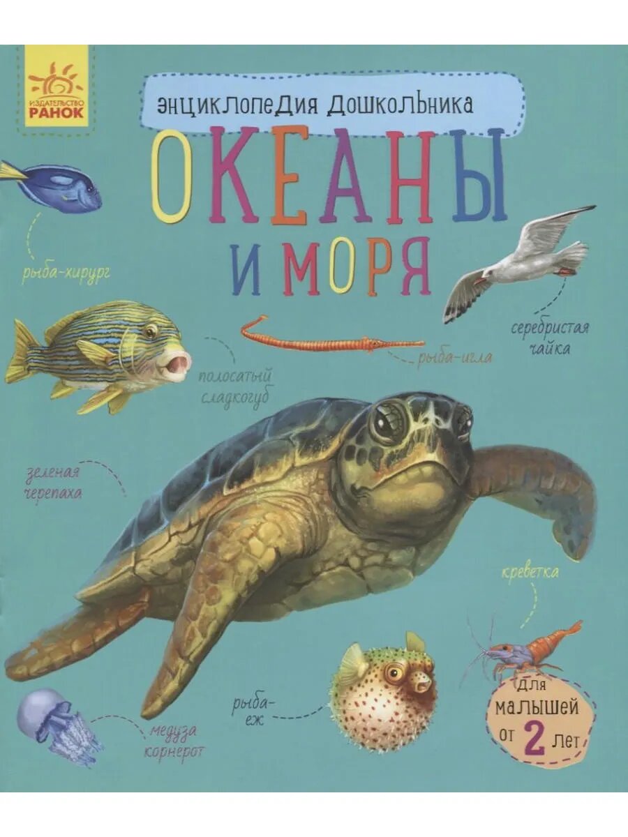 Океаны и моря