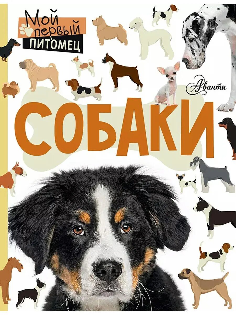 Собаки