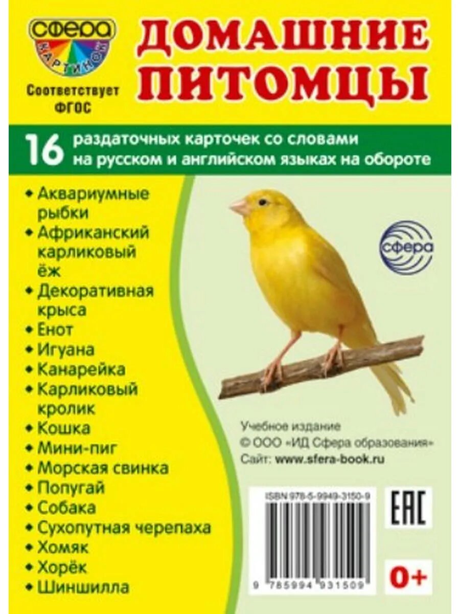 Домашние питомцы. 16 раздаточных карточек со словами на русс
