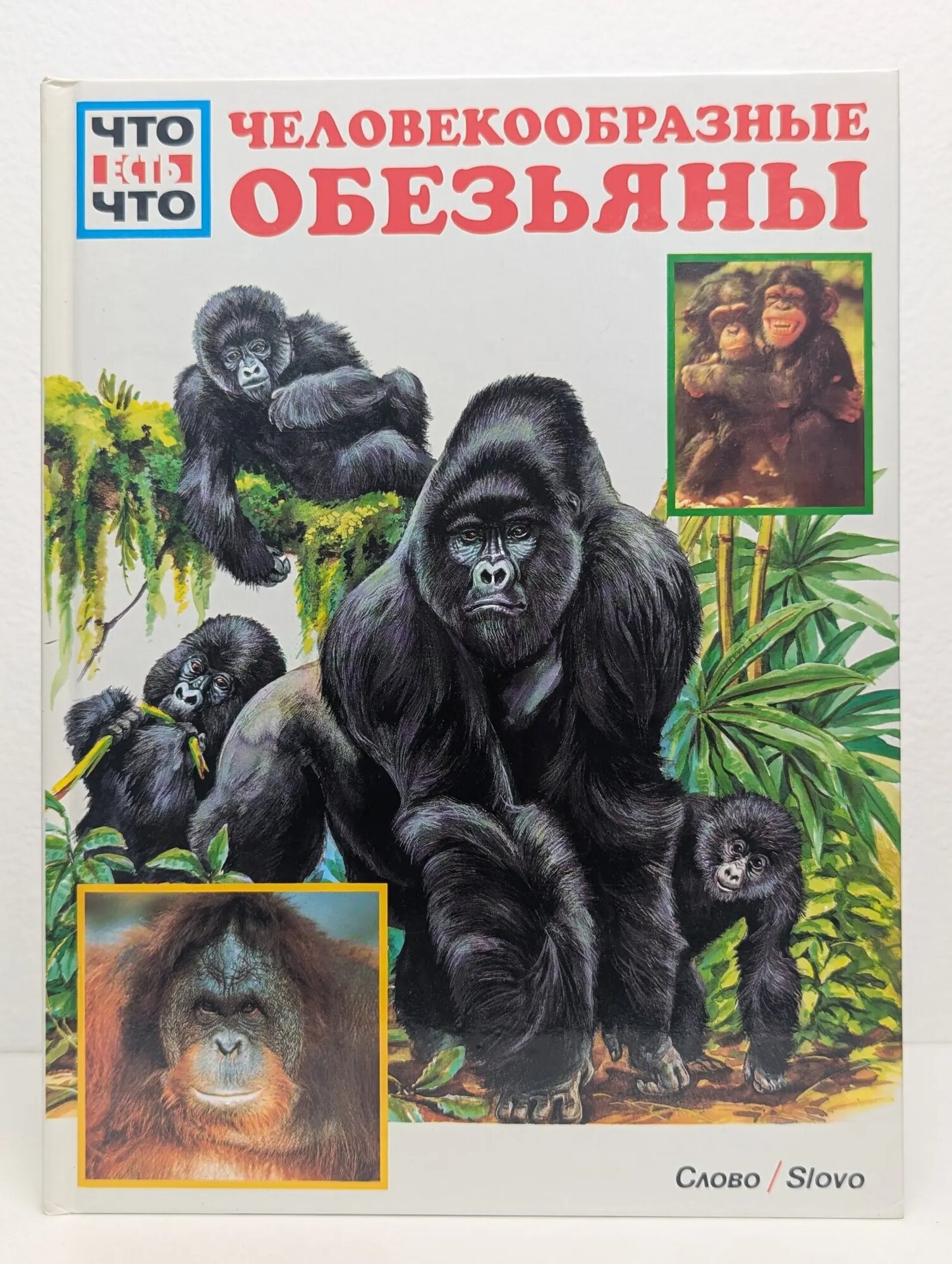 Человекообразные обезьяны Дрешер Витус 1998