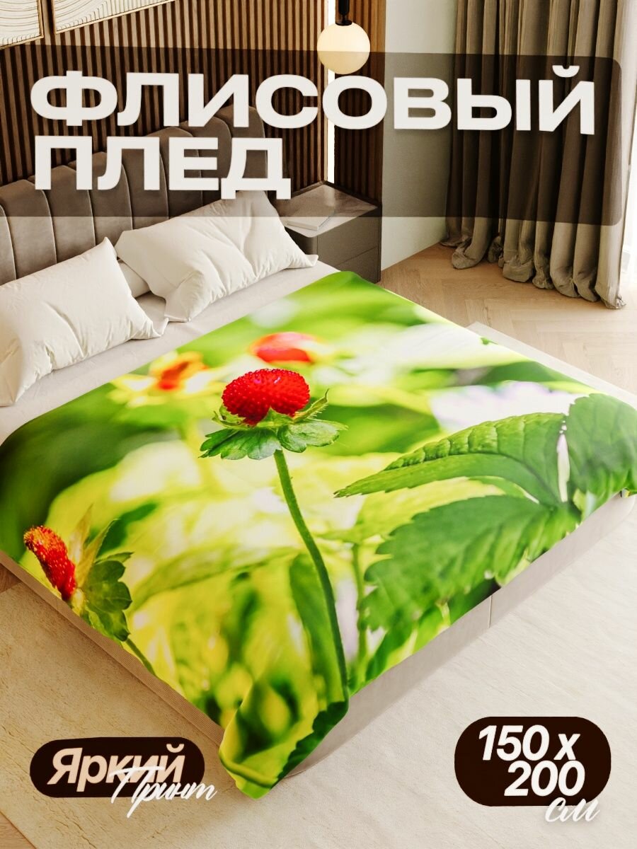 Плед флисовый 150х200 см мягкий теплый покрывало для дома