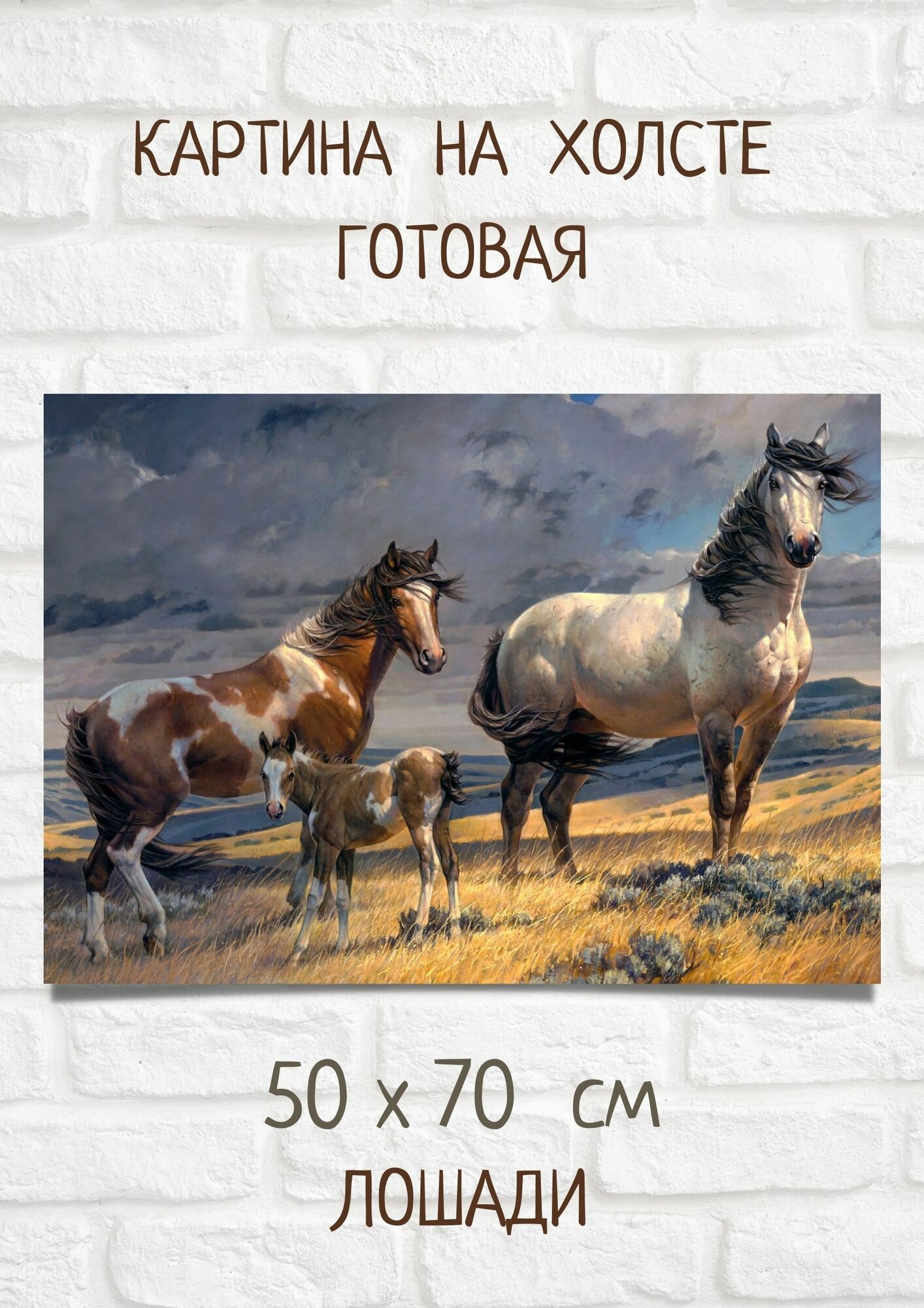 Картина лошадь в арт стиле - Два коня на пастбище 70х50