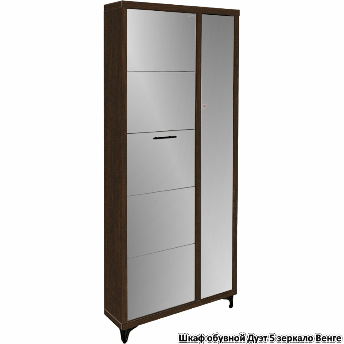 Шкаф обувной Дуэт 5 зеркало венге, Айрон, Ш:83 см, В:174 см, Г:19 см.