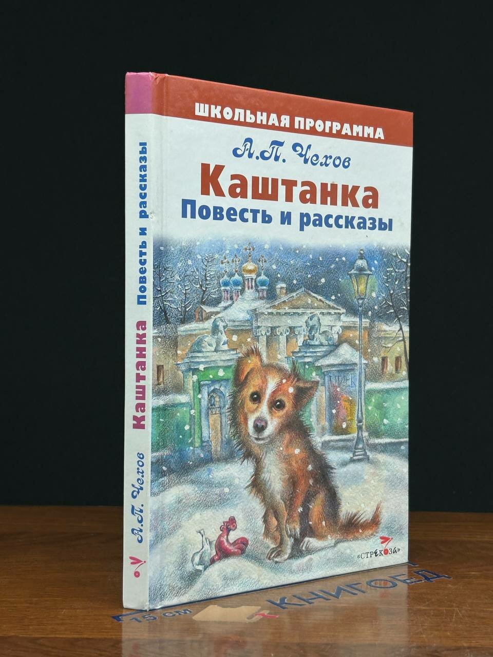 Книга. Каштанка 2015 (2042334633781)