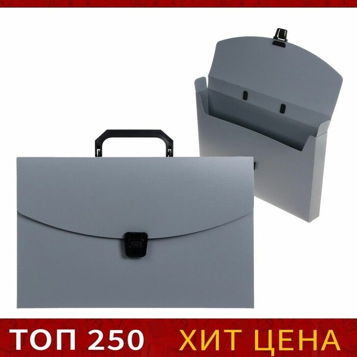 Папка-портфель Calligrata А4, 1 отделение, 700 мкм, до 300 листов, серая (ПМ-А4-26/22)