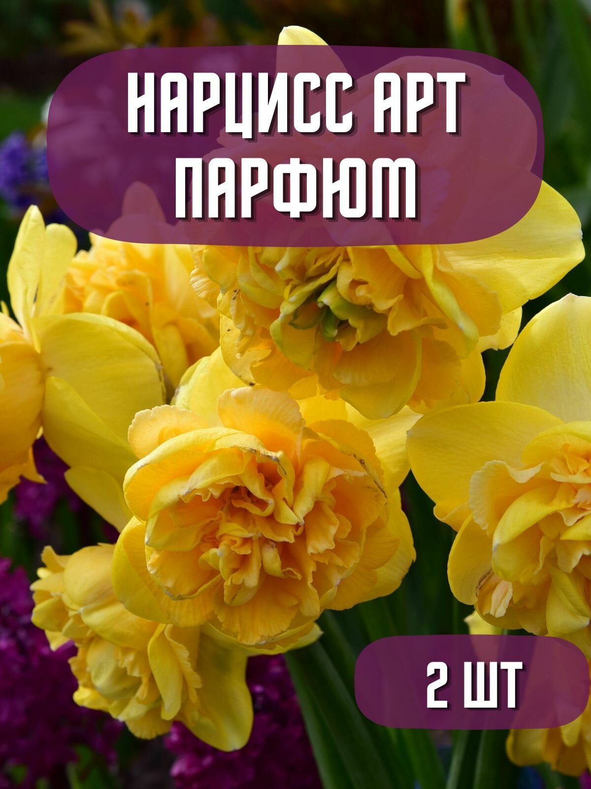 Нарцисс Арт Парфюм 2шт.