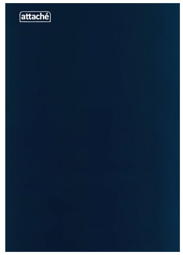 Бух книги учета 96л. в клетку офсет, обл. бумвинил ATTACHE