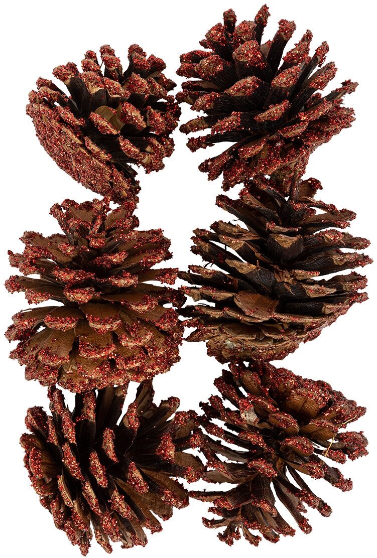 Blumentag CIF-02 Шишки 6 шт. 03 Сосна/Красный декоративный набор для флористики