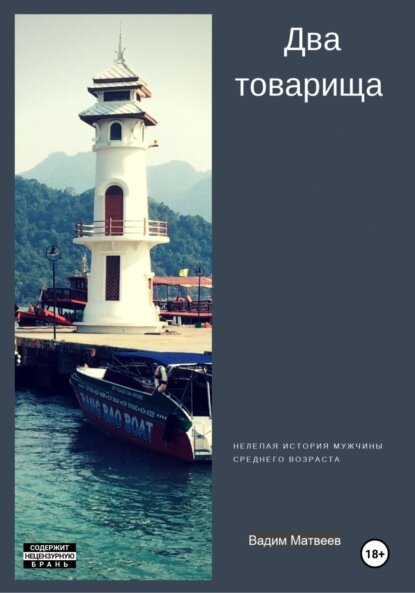 Два товарища [Цифровая книга]