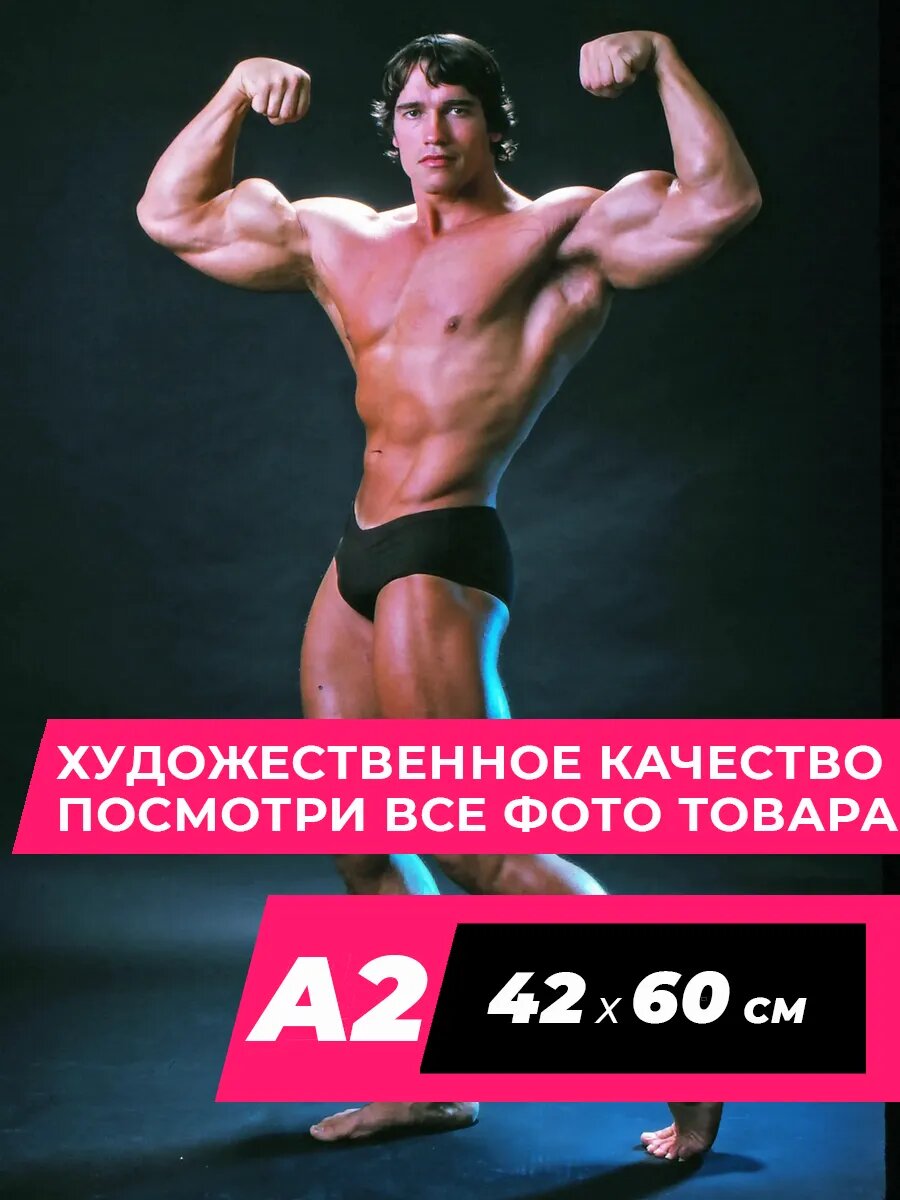 Постер Шварценеггер Арнольд на стену 11 A2, матовая фотобумага премиум качества