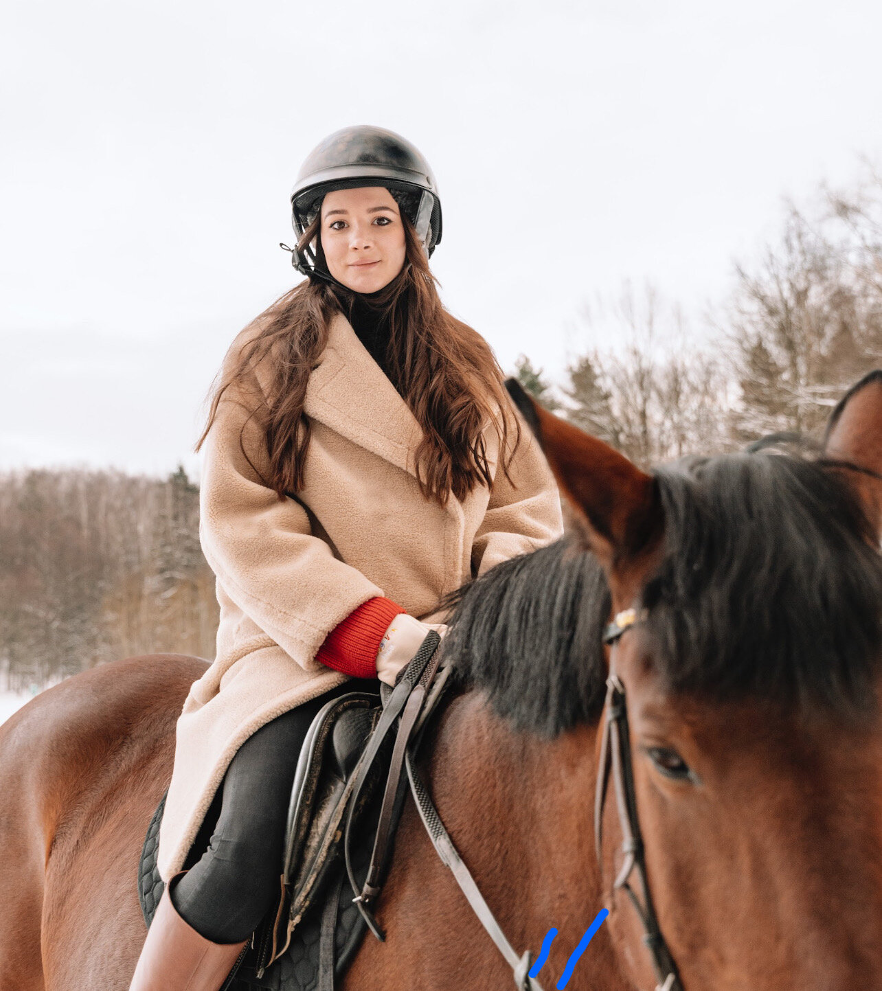 Сертификат на индивидуальное занятие верховой ездой в КСК Прованс