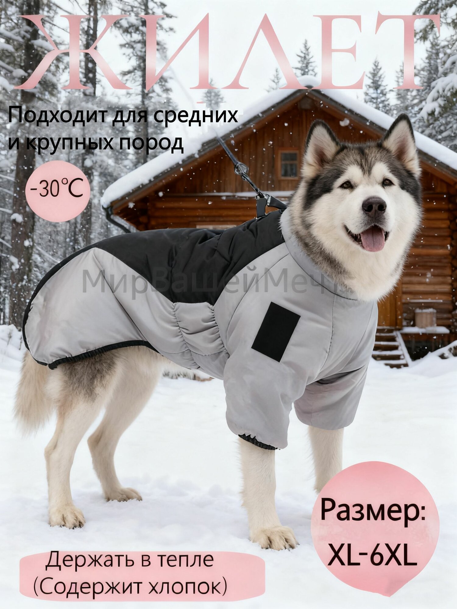 Одежда для животных