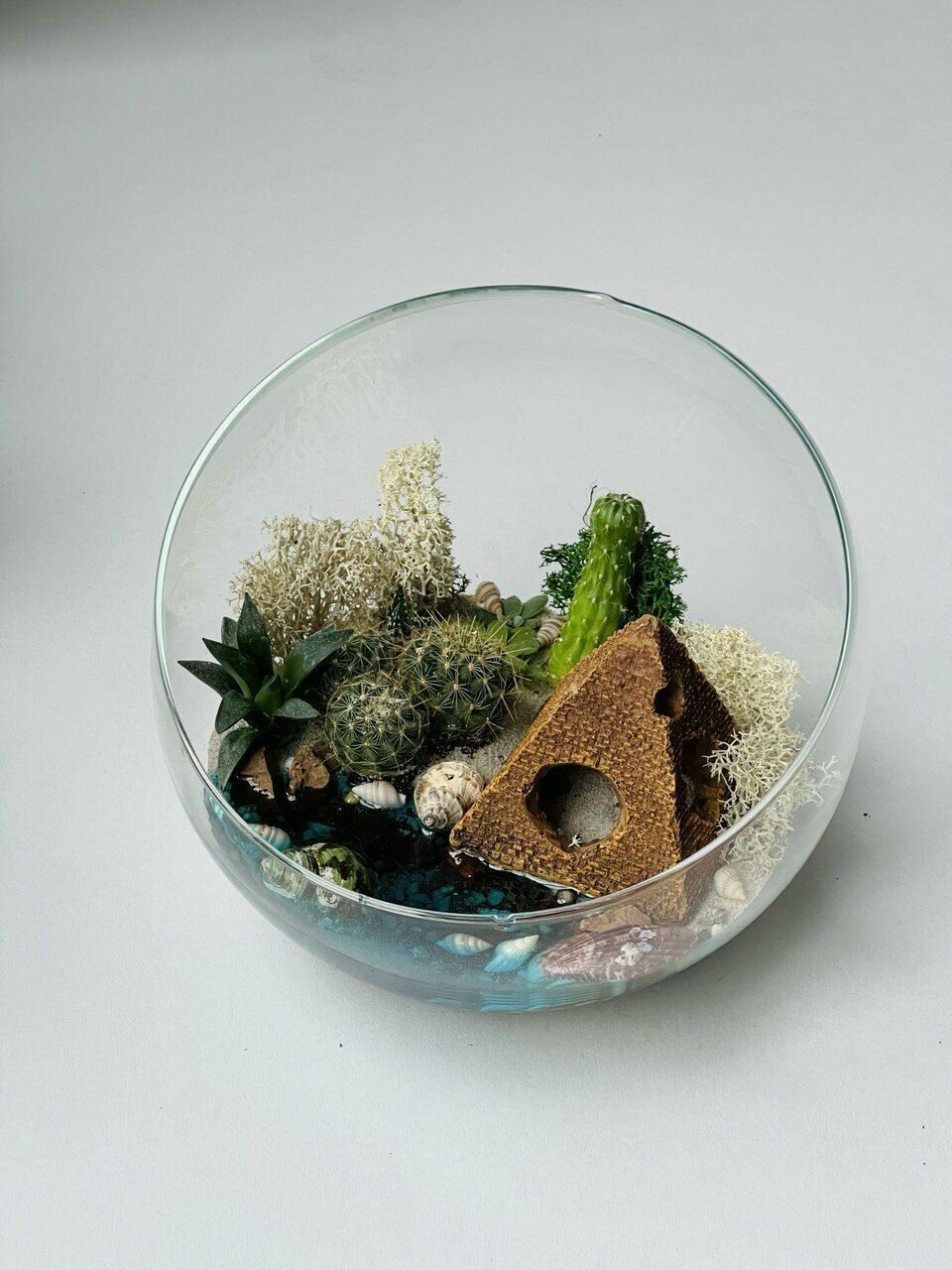 Флорариум с пирамидой 17*17см / Комнатное растение с водоёмом / Суккуленты и кактусы