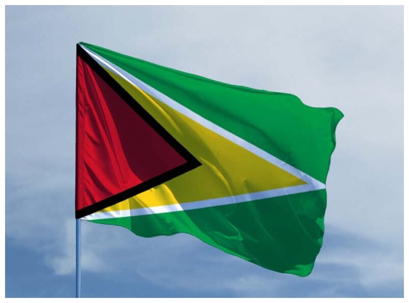 Флаг Гайаны 70х105 см