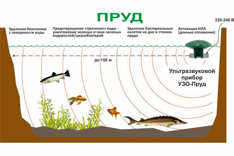 Ультразвуковой прибор очистки воды в пруду действием до 20 метров