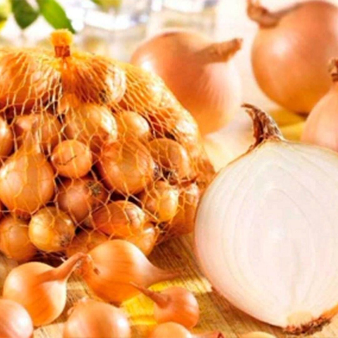 Лук-севок Стурон (10-21мм) (500 гр.), Нидерланды