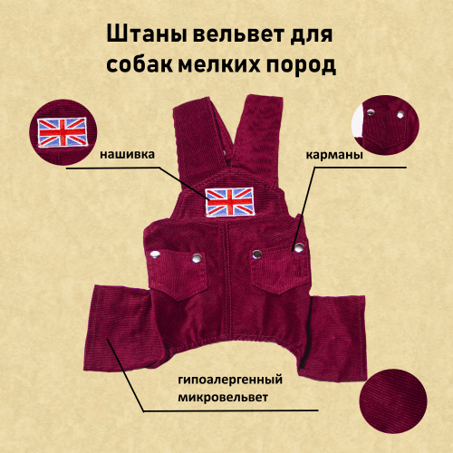 Штаны-джинсы вельвет для собак мелких пород, нашивка Флаг Англии, размер S, цвет бордовый