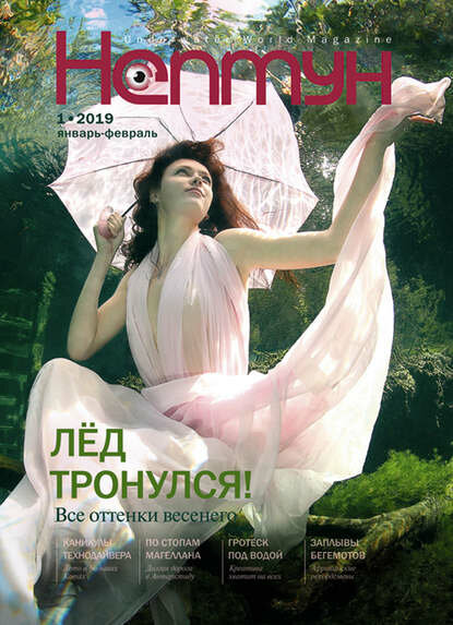 Нептун №1/2019 [Цифровая книга]