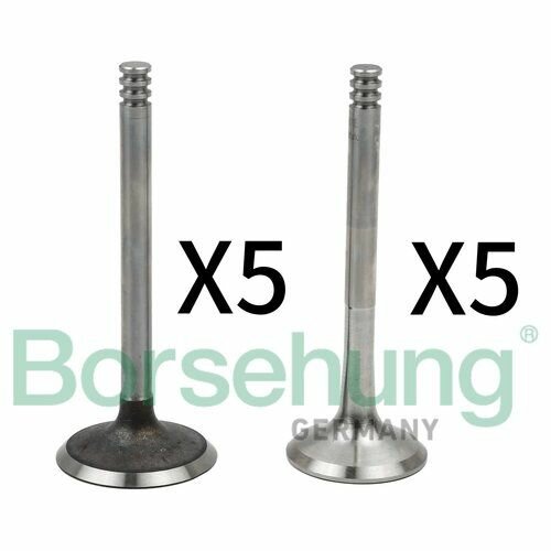 Клапан Borsehung B18662