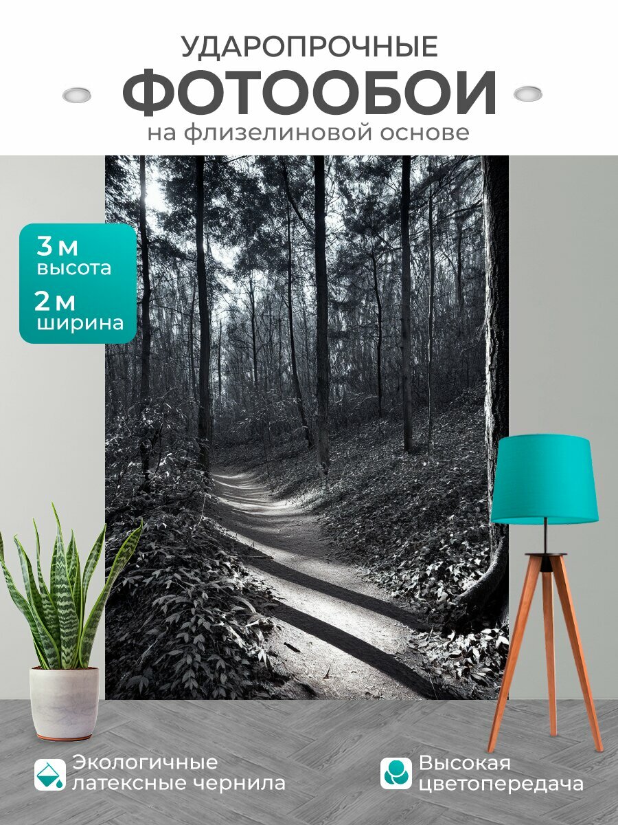 Фотообои моющиеся ударопрочные "Фотообои лес в стиле черно-белый: детализированное изображение лесной прогулки с дорожкой, усыпанной листьями, и" 200x300 см. флизелиновые на стену