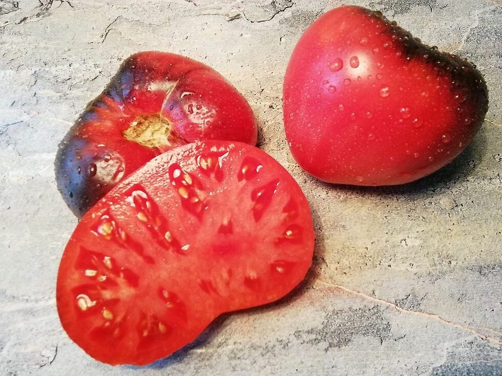 Коллекционные семена томата Синие Горы Сержанта Пеппера