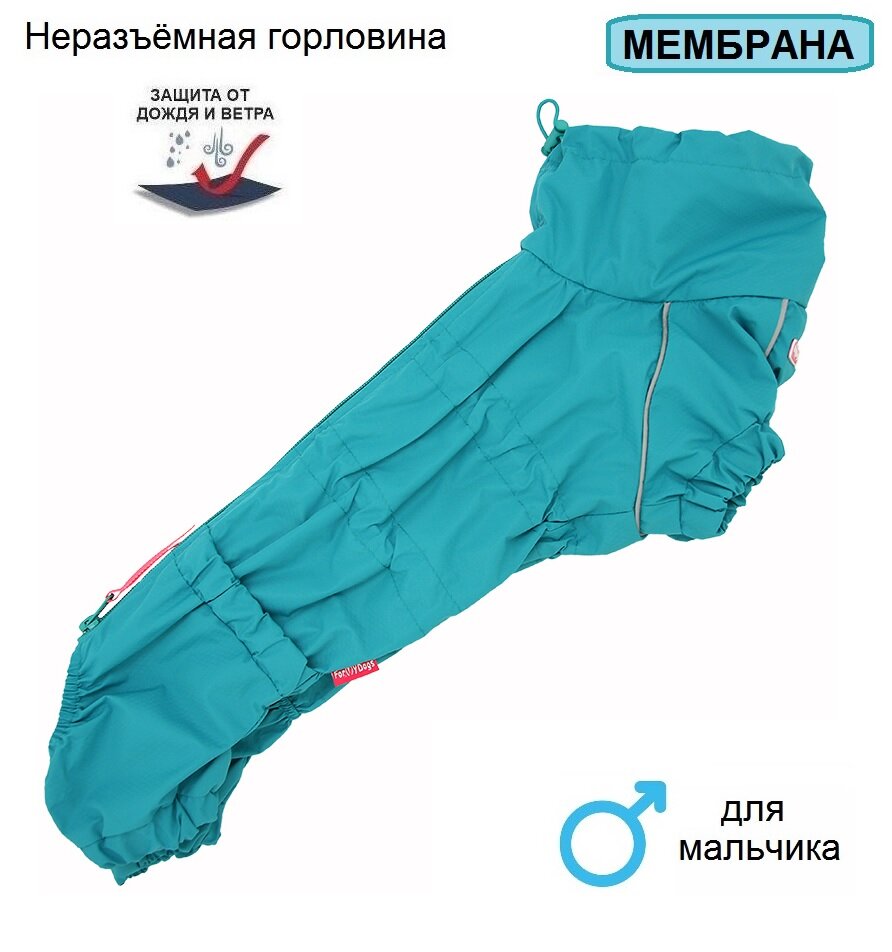 Дождевик для собак мальчик Такса (ТМ2 по спине 39см мальчик)