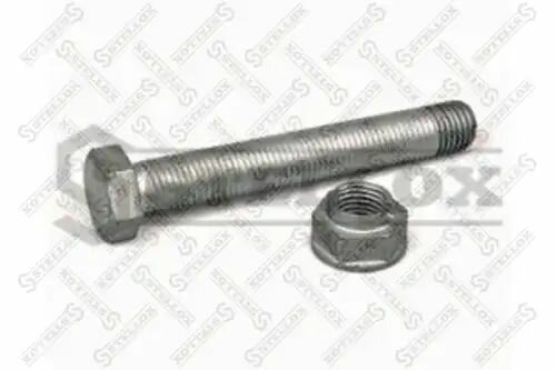 Болт рессоры в сборе с гайкой SAF